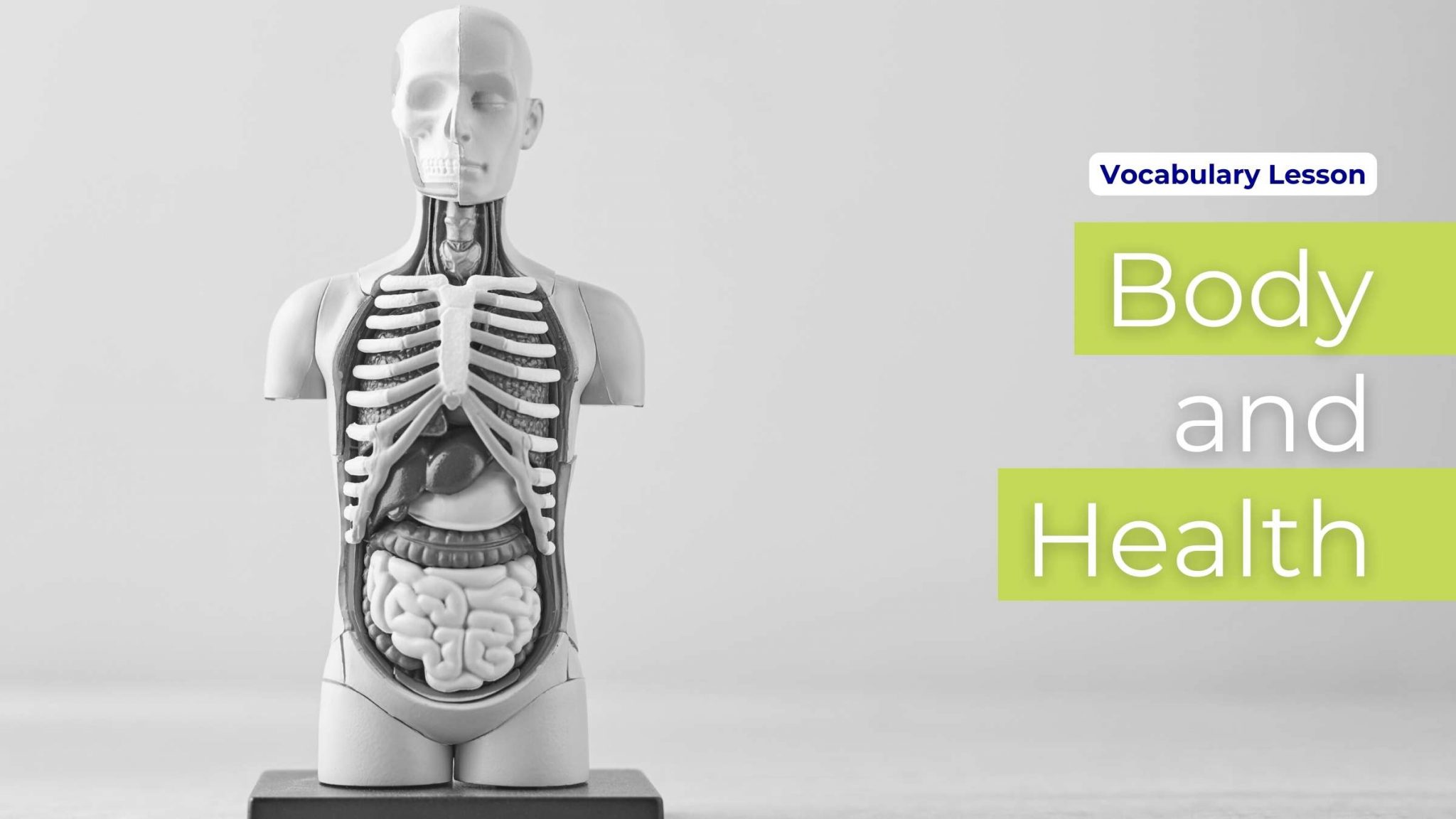 Body and Health | Elementary Vocabulary - Lingo Best English Academy