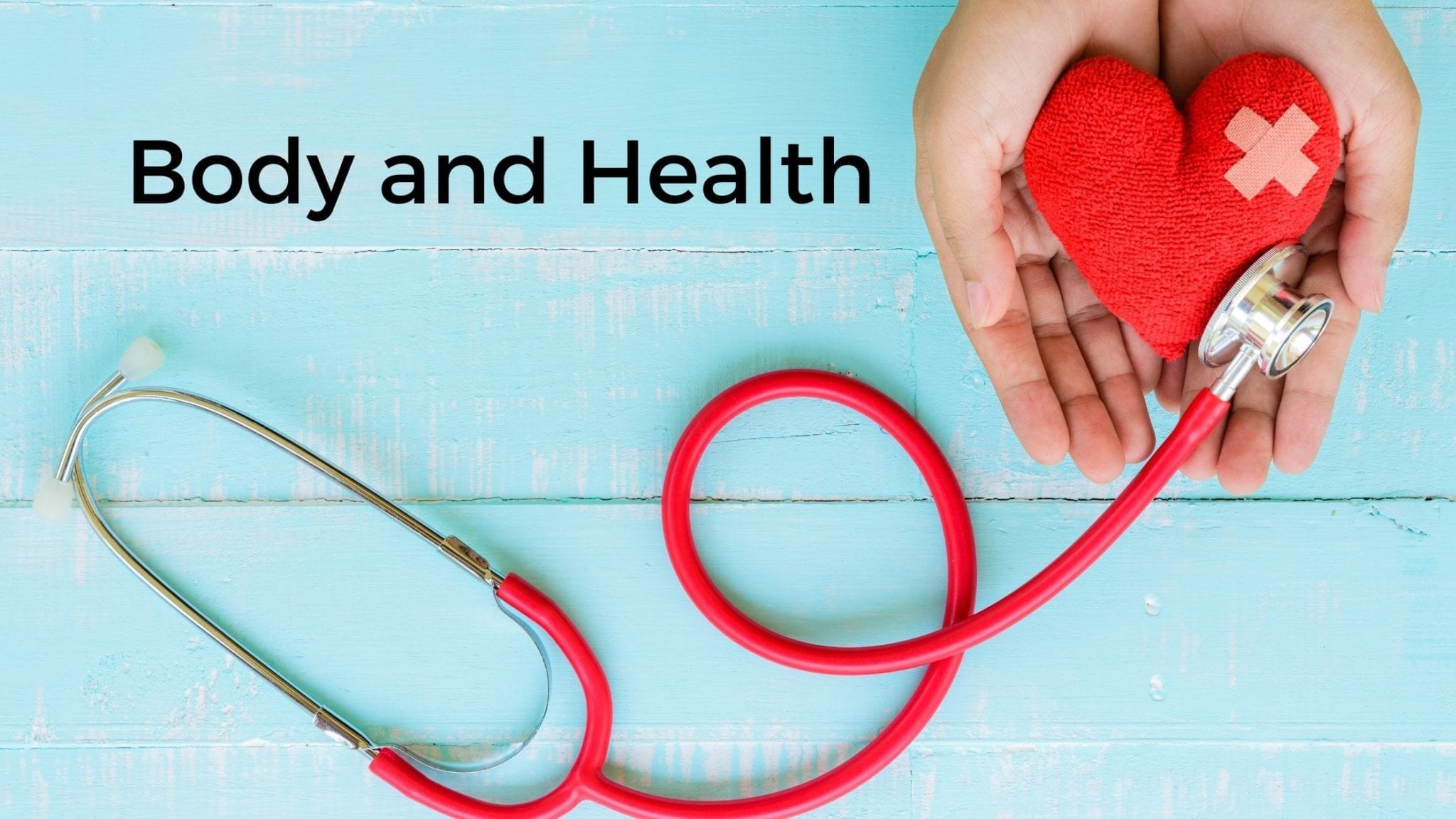 Body and health vocabulary: English games and exercises - Lingo Best ...