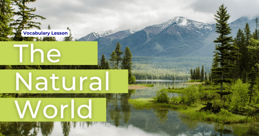 The Natural World | Pre-intermediate Vocabulary - Lingo Best English ...