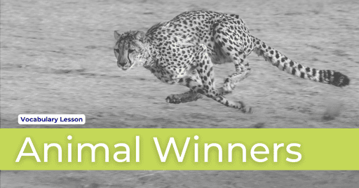 Reading lesson: Animal Winners - Lingo Best English Academy