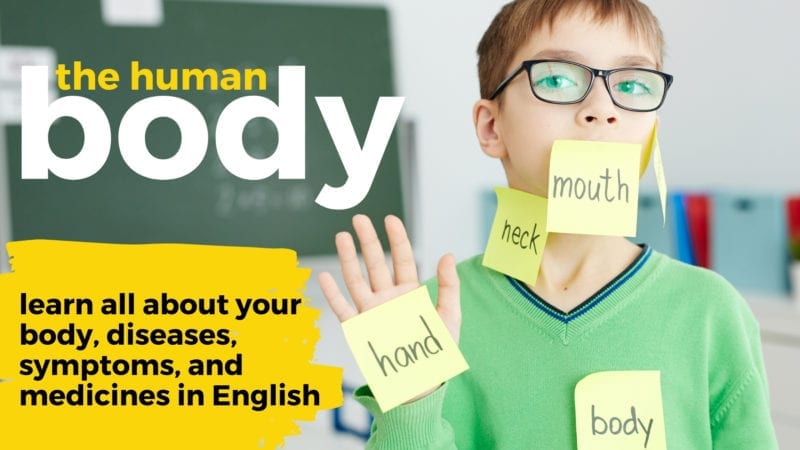 Body Parts and Health Vocabulary - PrepEng Online English School